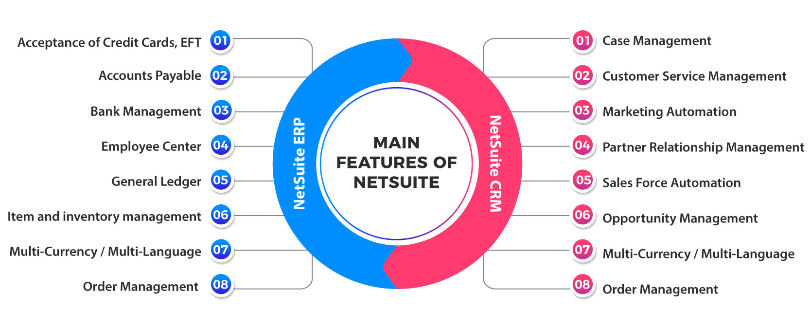 The NetSuite Beginner’s Guide for 2025 - VNMT